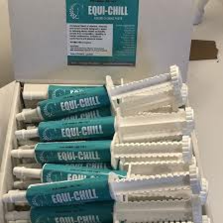 Equi-Chill Calming Paste ⋆ Spend With Us - Buy From a Bush Business