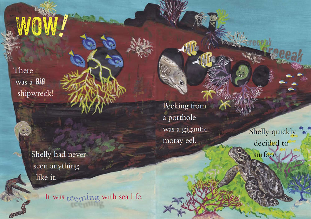 Shelly the Sea Turtle ⋆ Spend With Us - Buy From a Bush Business