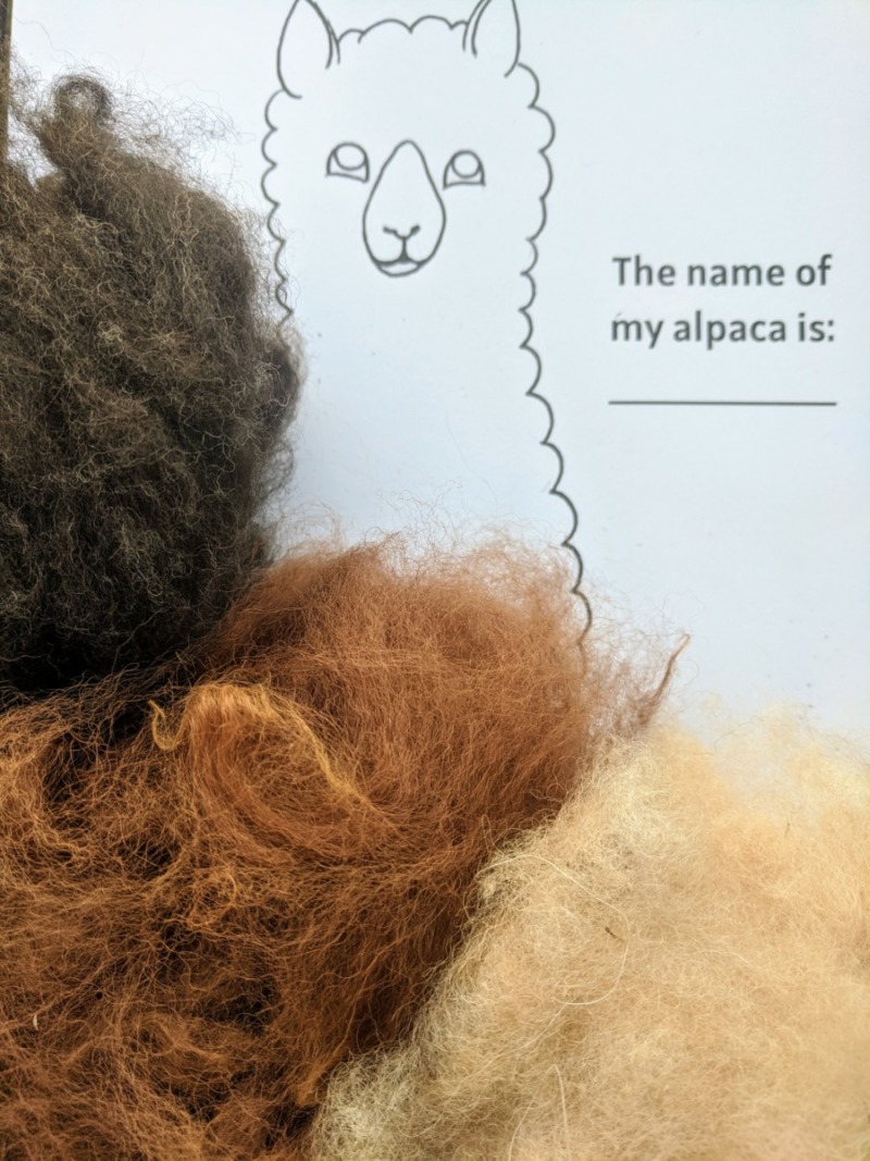 Make an alpaca kids activity ⋆ Spend With Us - Buy From a Bush Business