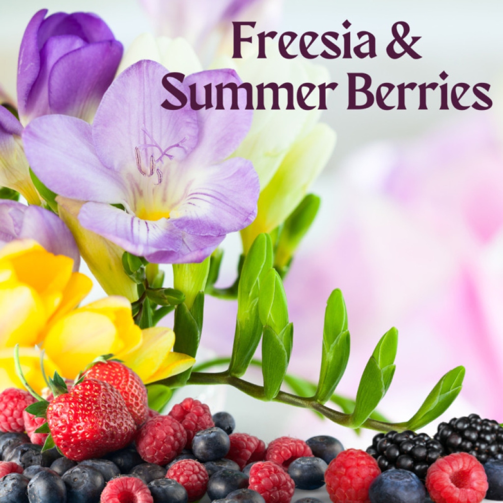 FREESIA & SUMMER BERRIES ⋆ Spend With Us - Buy From a Bush Business