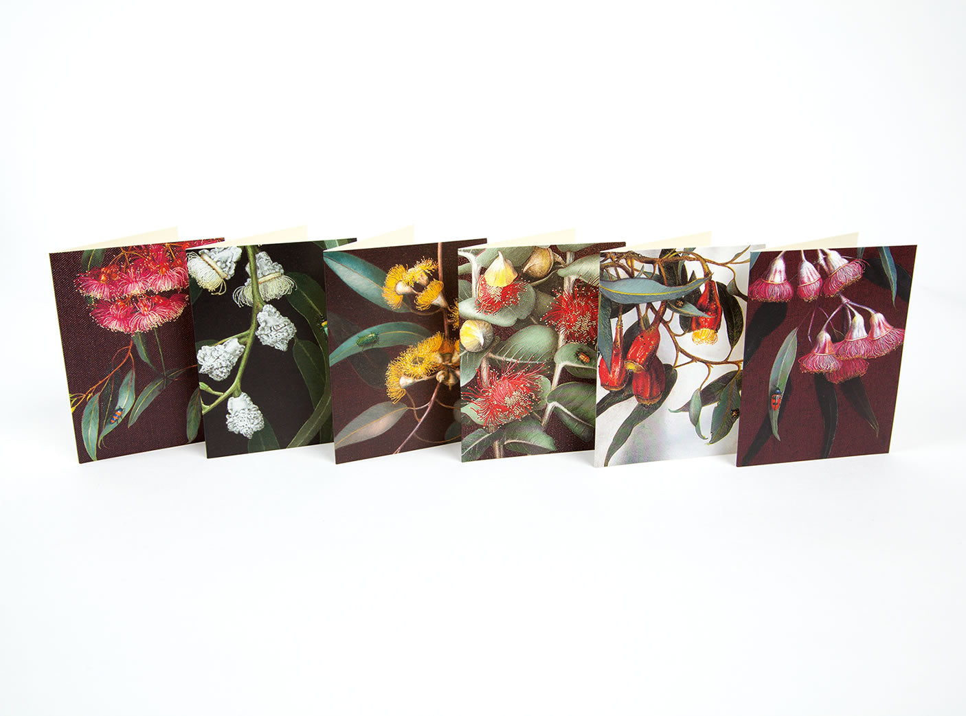 Bell Art - Boxed Gift Cards - Gum Bug Box ⋆ Spend With Us - Buy From a ...