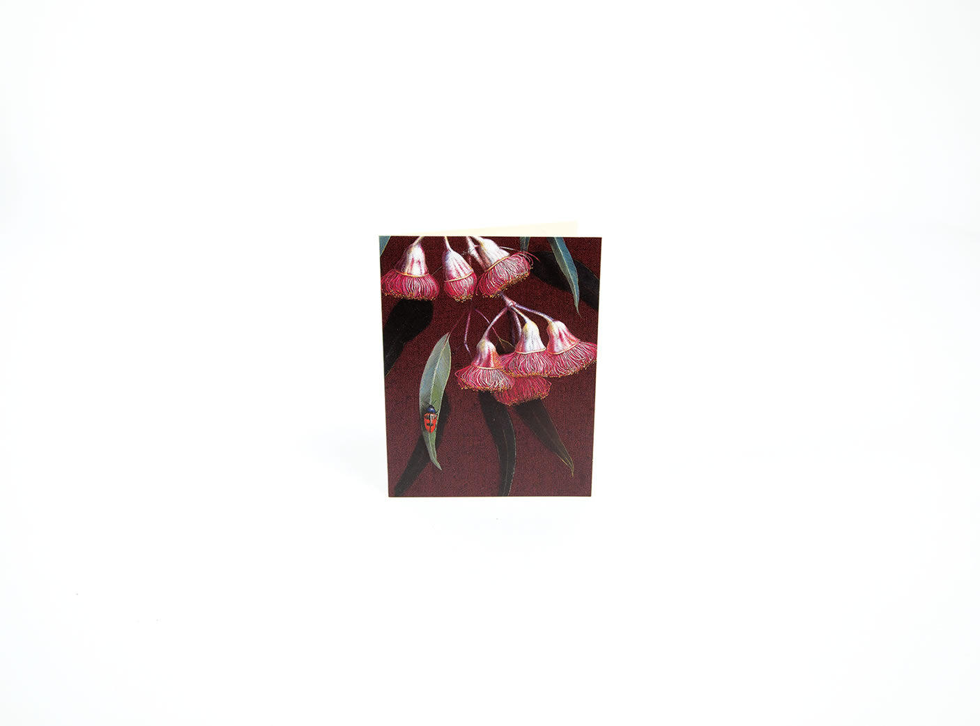 Bell Art - Boxed Gift Cards - Gum Bug Box ⋆ Spend With Us - Buy From a ...