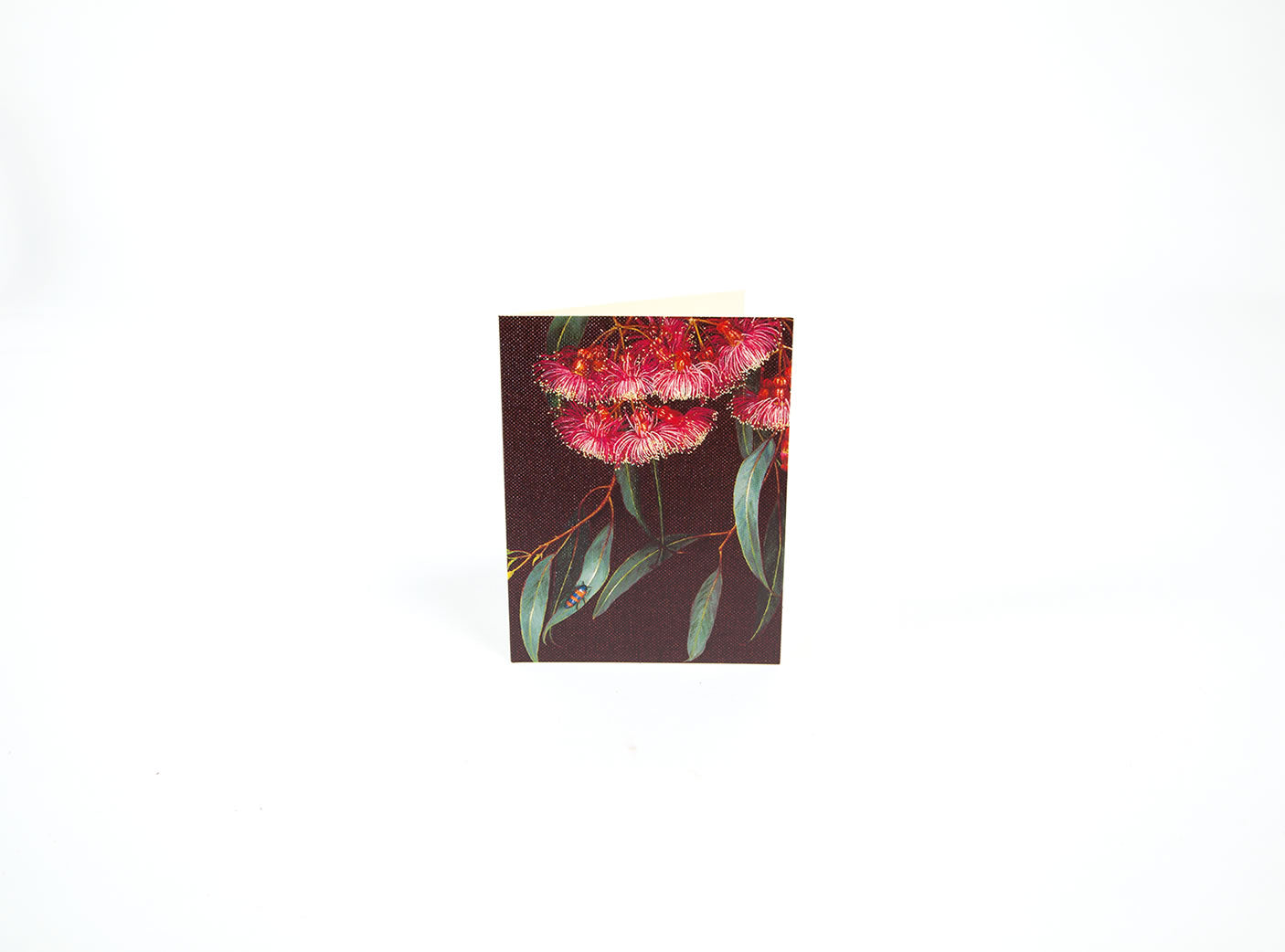 Bell Art - Boxed Gift Cards - Gum Bug Box ⋆ Spend With Us - Buy From a ...