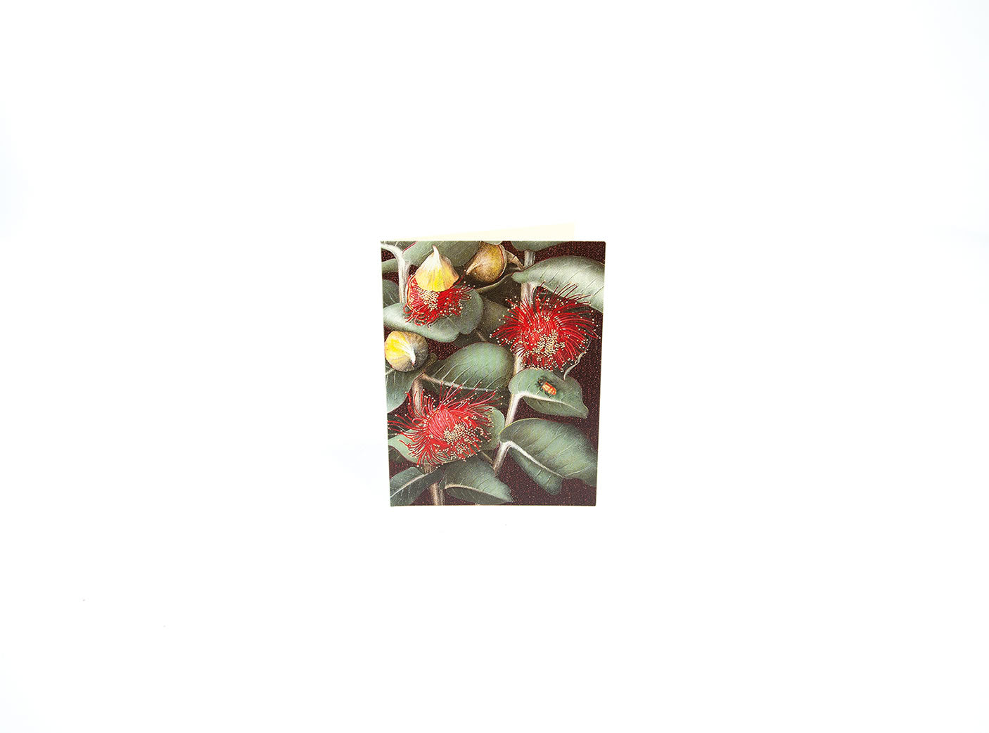 Bell Art - Boxed Gift Cards - Gum Bug Box ⋆ Spend With Us - Buy From a ...