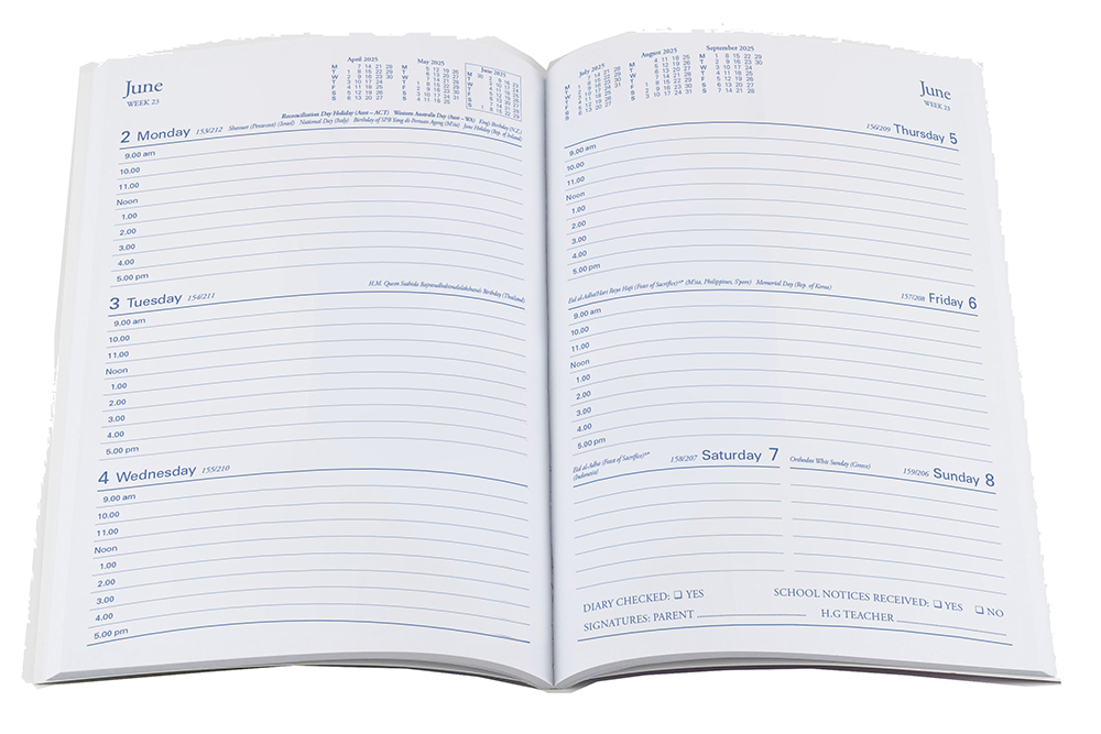 2025 Allen's EsE-2C Magnetic Calendar - Easy to See 210 x 233mm Month ...