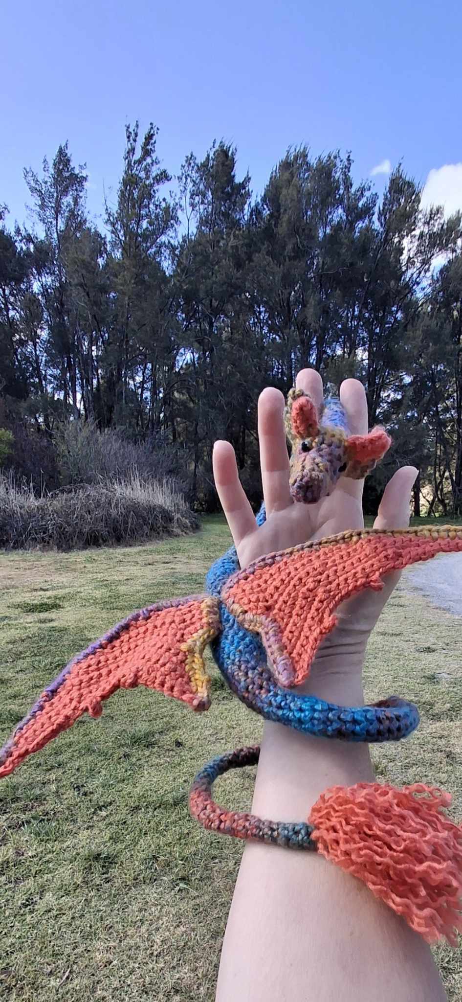 Wrap Dragon ⋆ Spend With Us - Buy From a Bush Business