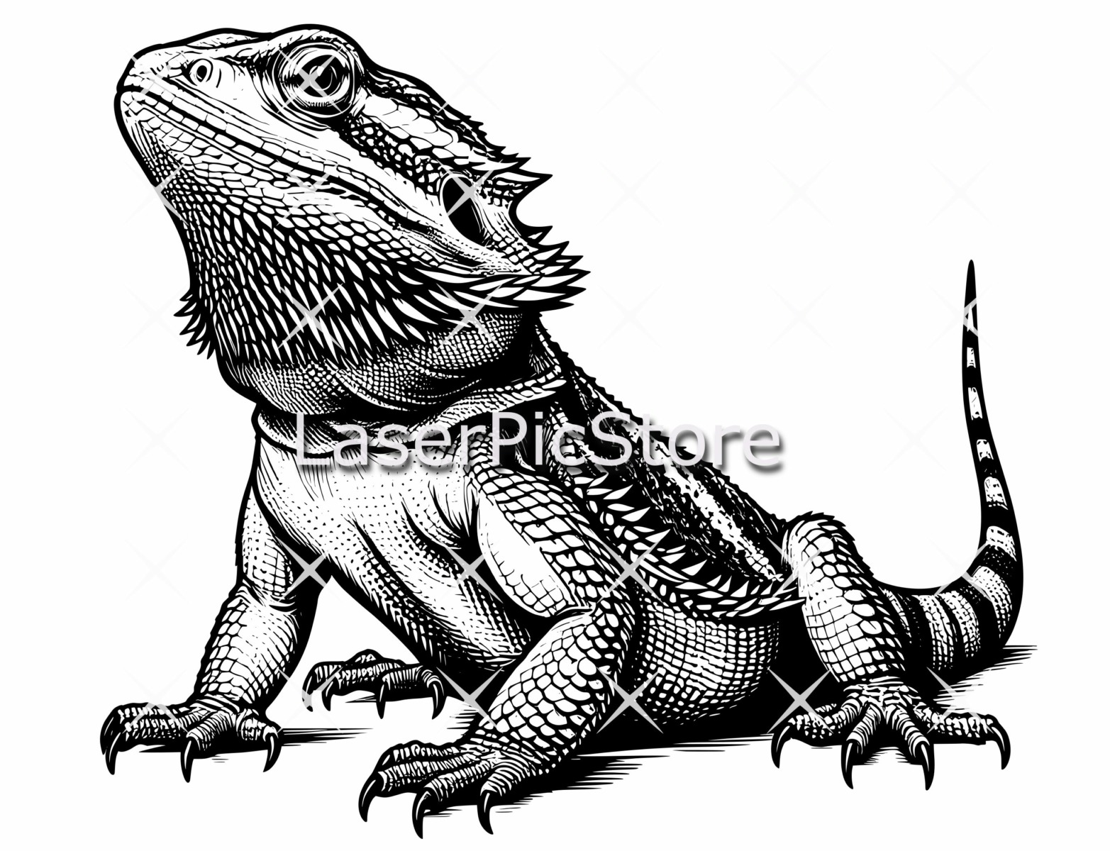 Bearded Dragon Vector File ⋆ Spend With Us - Buy From a Bush Business