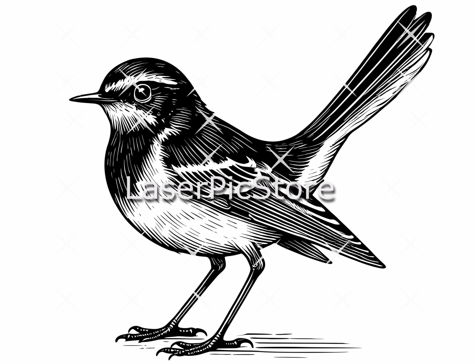 Willie Wagtail Vector File ⋆ Spend With Us - Buy From a Bush Business