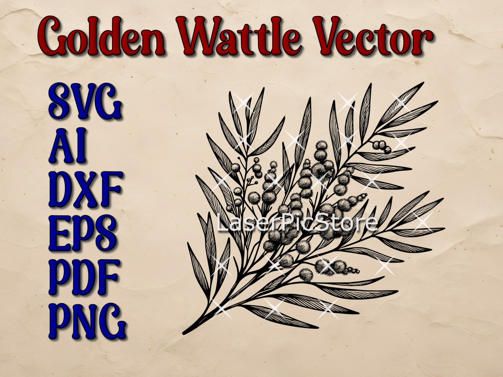 Golden Wattle Vector File ⋆ Spend With Us - Buy From a Bush Business