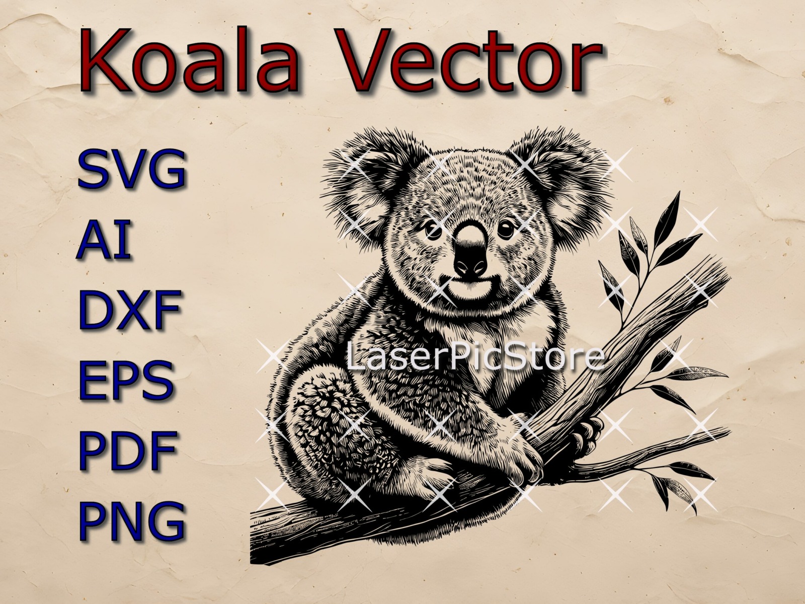 Koala Vector File ⋆ Spend With Us - Buy From a Bush Business