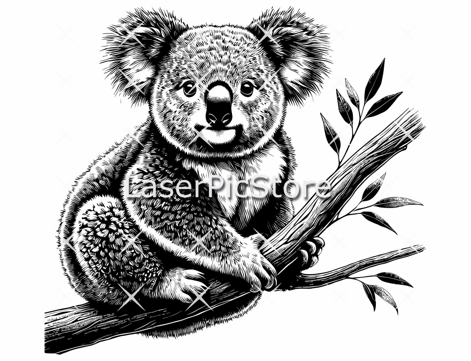 Koala Vector File ⋆ Spend With Us - Buy From a Bush Business