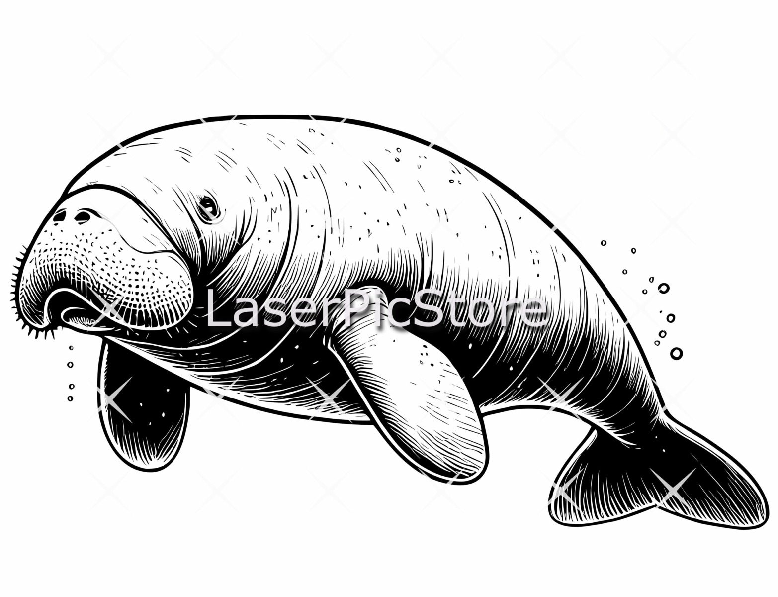 Dugong Vector File ⋆ Spend With Us - Buy From a Bush Business