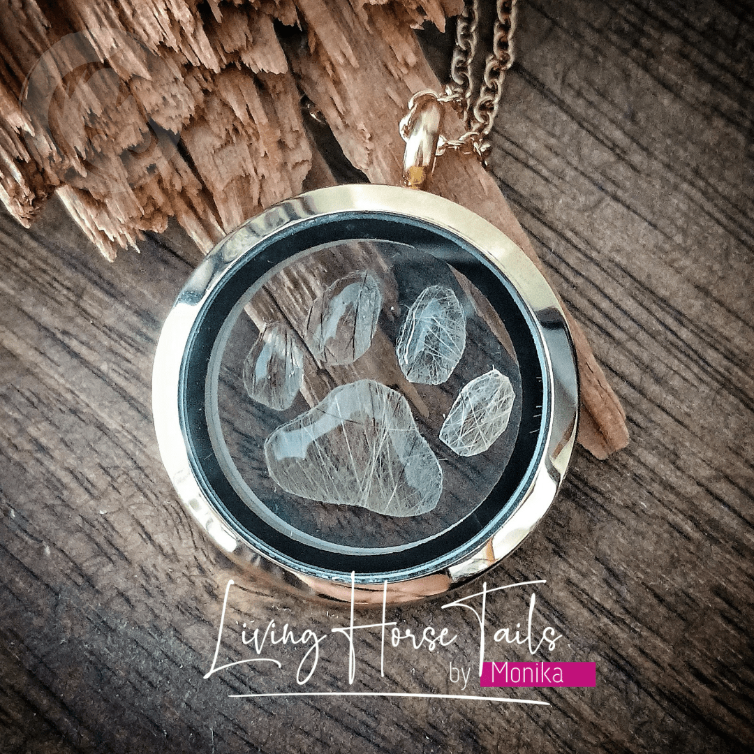 Paw pad memorial keepsake locket ⋆ Spend With Us - Buy From a Bush Business