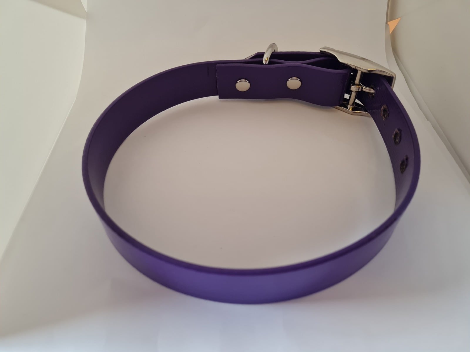 Purple pvc dog collar medium size ⋆ Spend With Us - Buy From a Bush ...