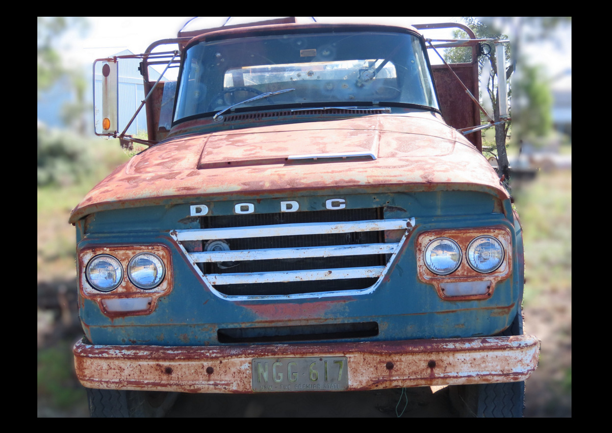 DODGE Wall Art ⋆ Spend With Us - Buy From a Bush Business